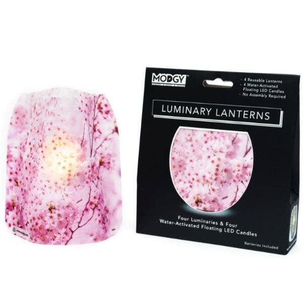 Modgy - Luminary - Hana | Blank Boutique